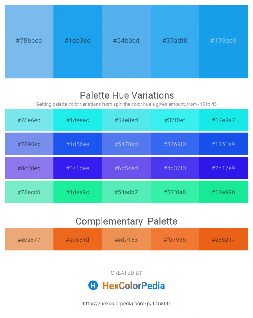 What is the color of Dodger Blue | Hexcolorpedia