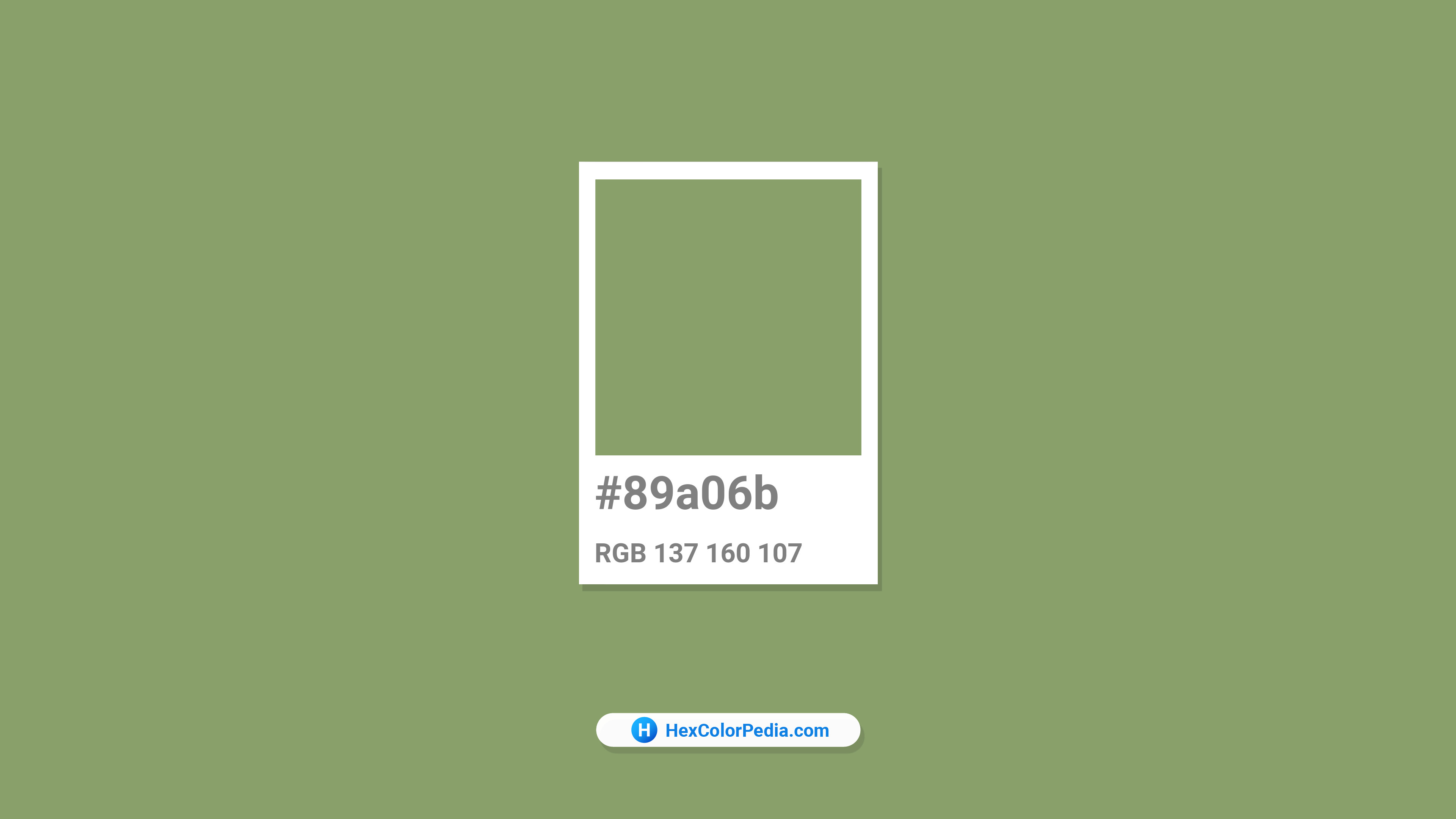 Tendril Color | 89a06b - Hex Color Conversion - Color Schemes - Color ...