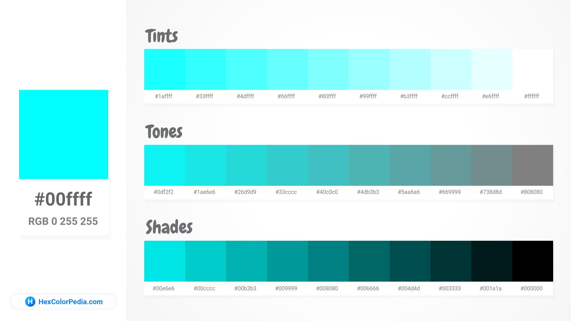 What Is The Color Of Aqua Hexcolorpedia What Is The Color Of Aqua Hexcolorpedia